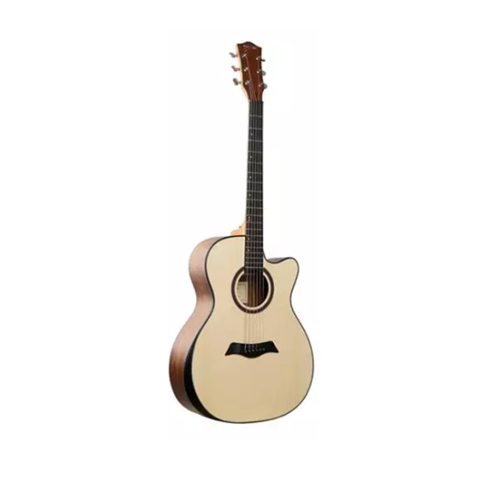 Deviser Semi-Acoustic Guitar (LS-570-40) – Guitar Shop Nepal